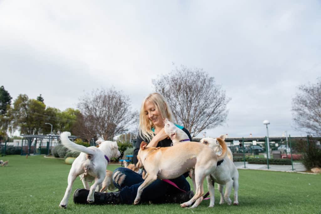 The Small Dog Whisperer - Humane Society Silicon Valley