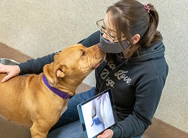 Home - Humane Society Silicon Valley - World's First Model Shelter