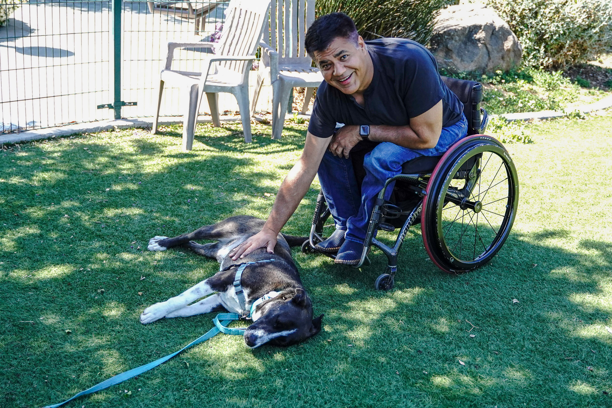 Making Photo Magic - Humane Society Silicon Valley