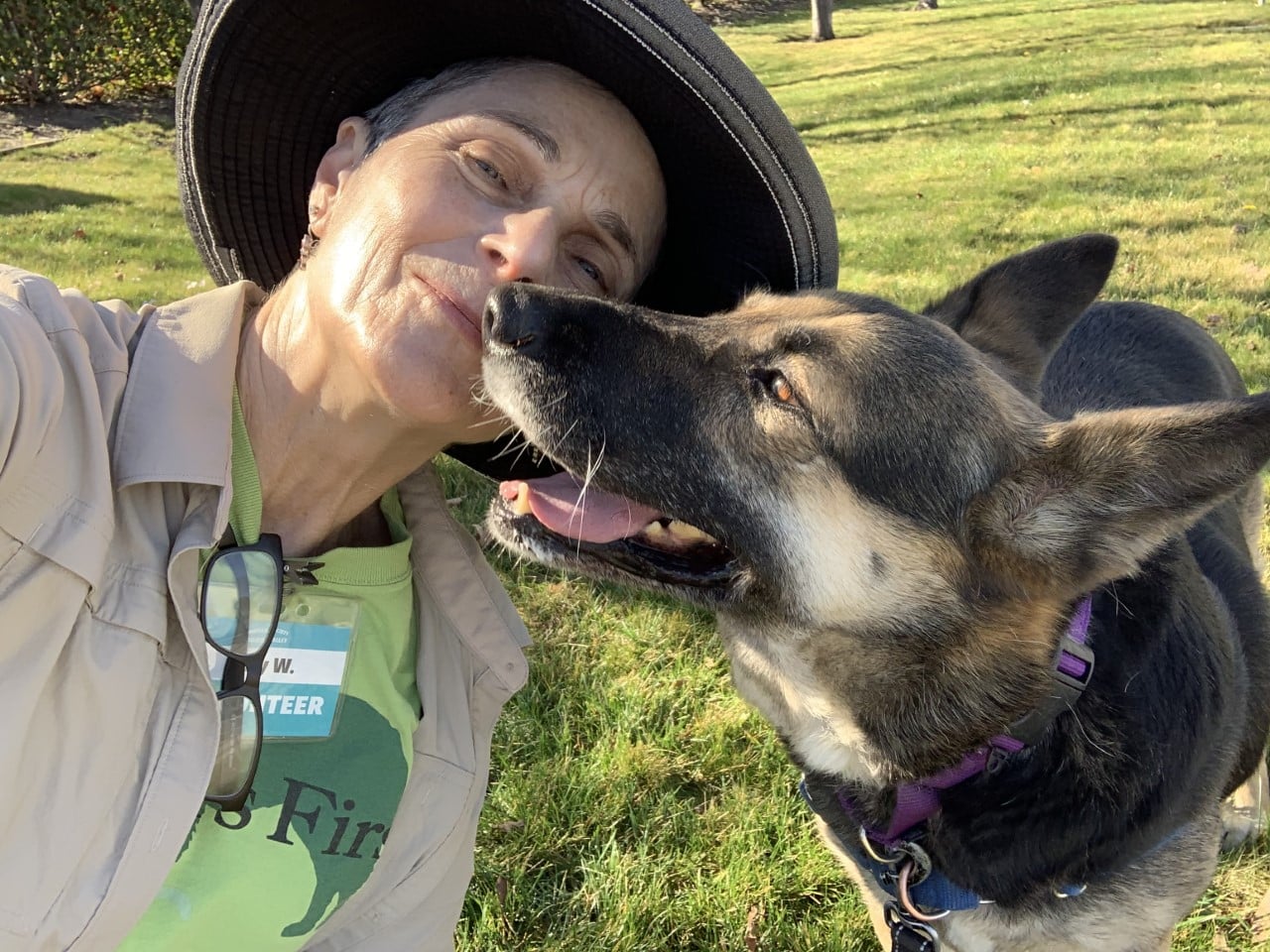 Callie's Next Chapter - Humane Society Silicon Valley