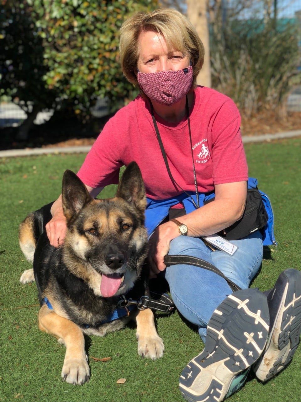 Callie's Next Chapter - Humane Society Silicon Valley