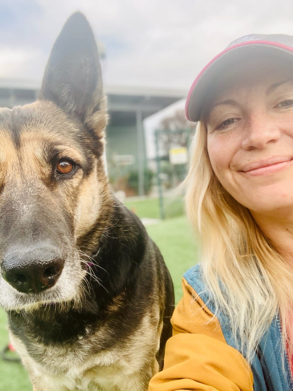 Callie's Next Chapter - Humane Society Silicon Valley