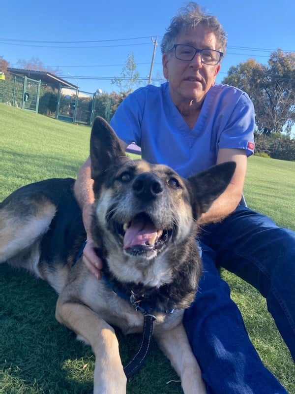 Callie's Next Chapter - Humane Society Silicon Valley