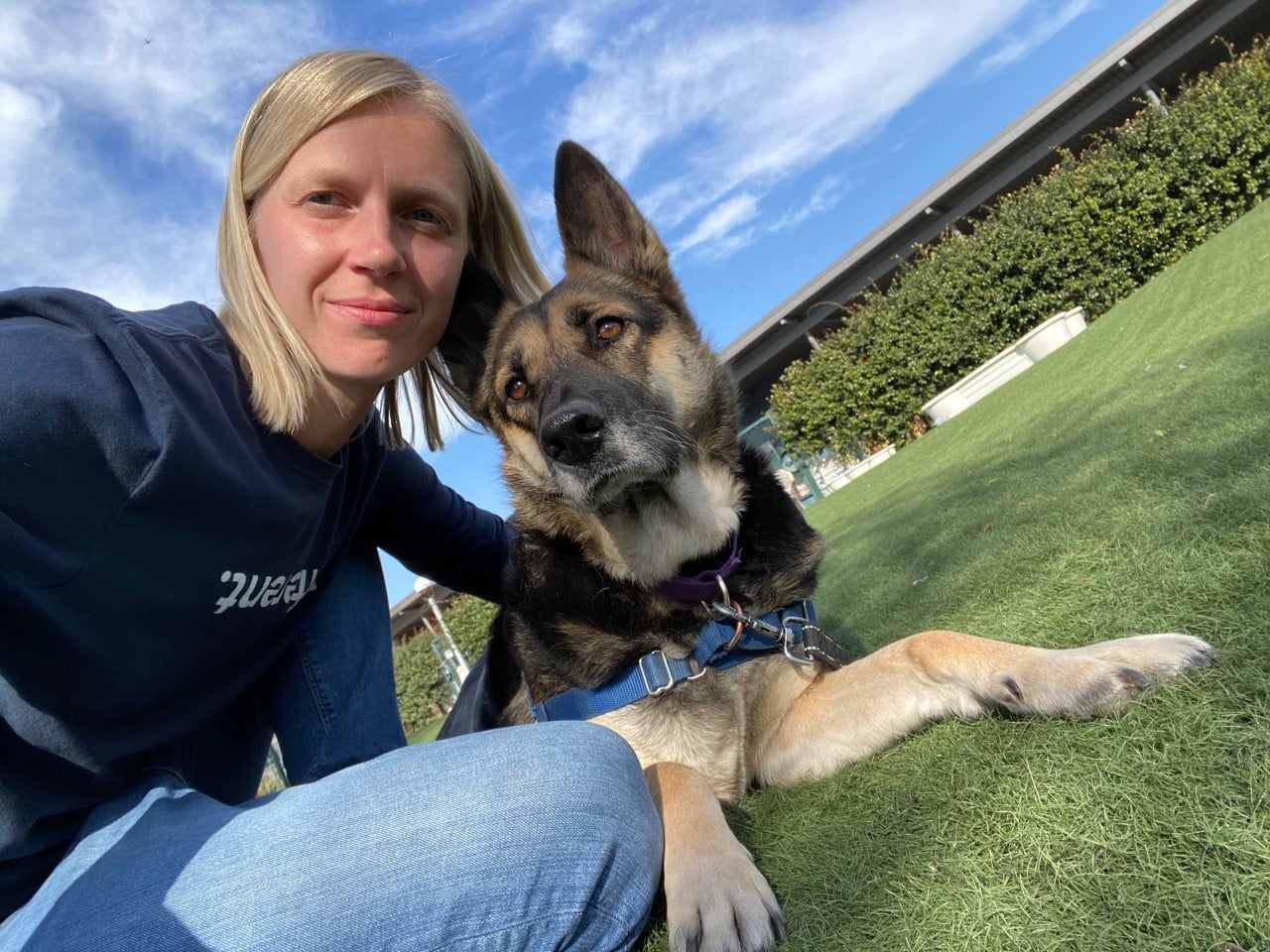 Callie's Next Chapter - Humane Society Silicon Valley