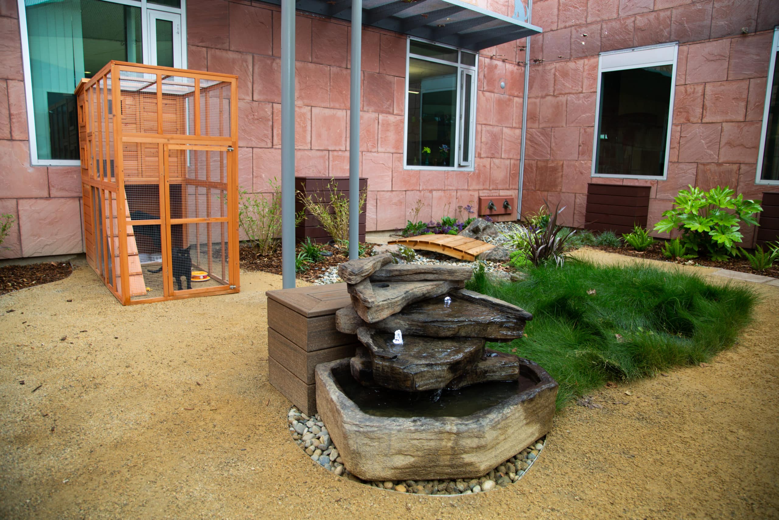 Kona's Spot in the Sun is Open! - Humane Society Silicon Valley