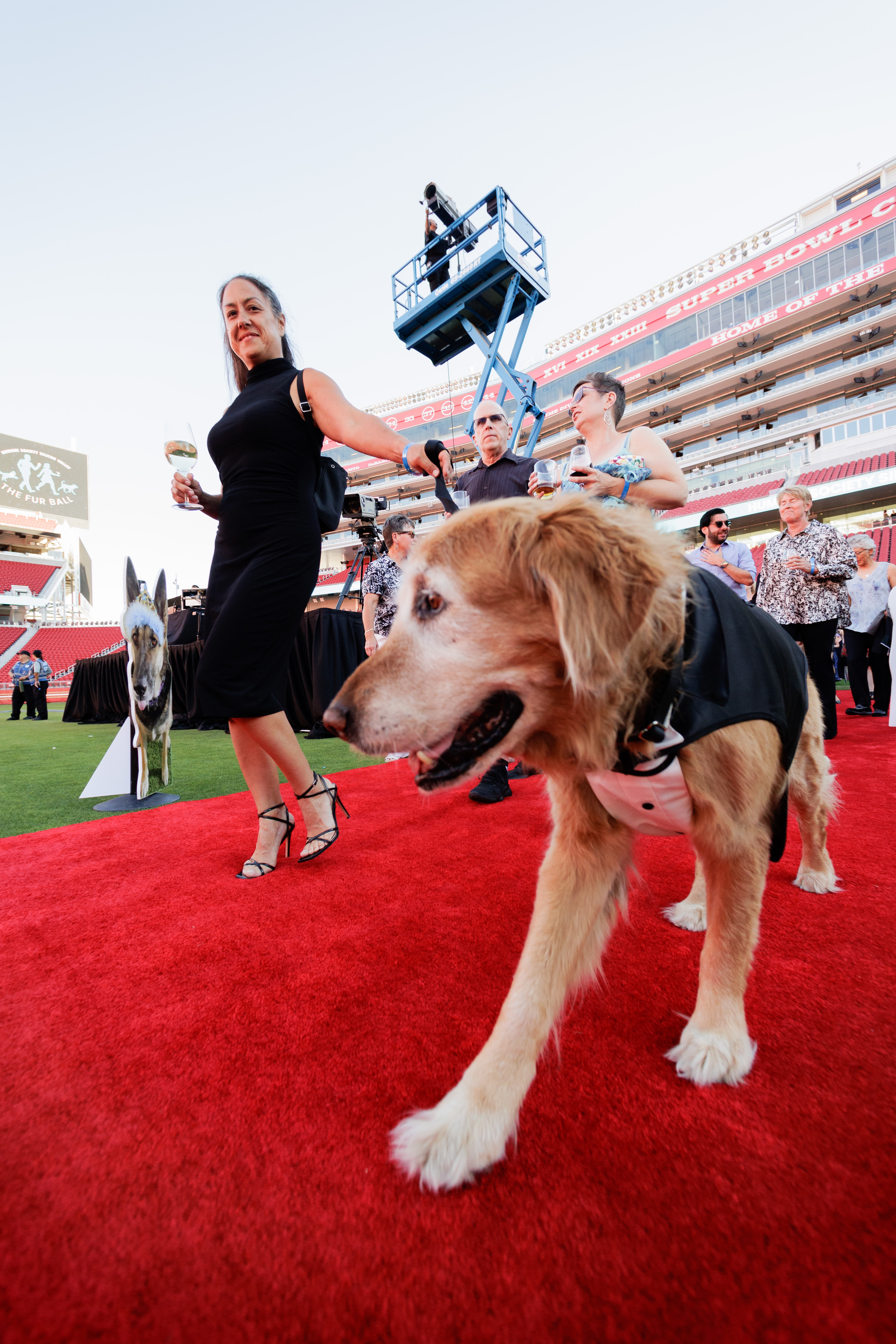 The Fur Ball 2022 - Humane Society Silicon Valley