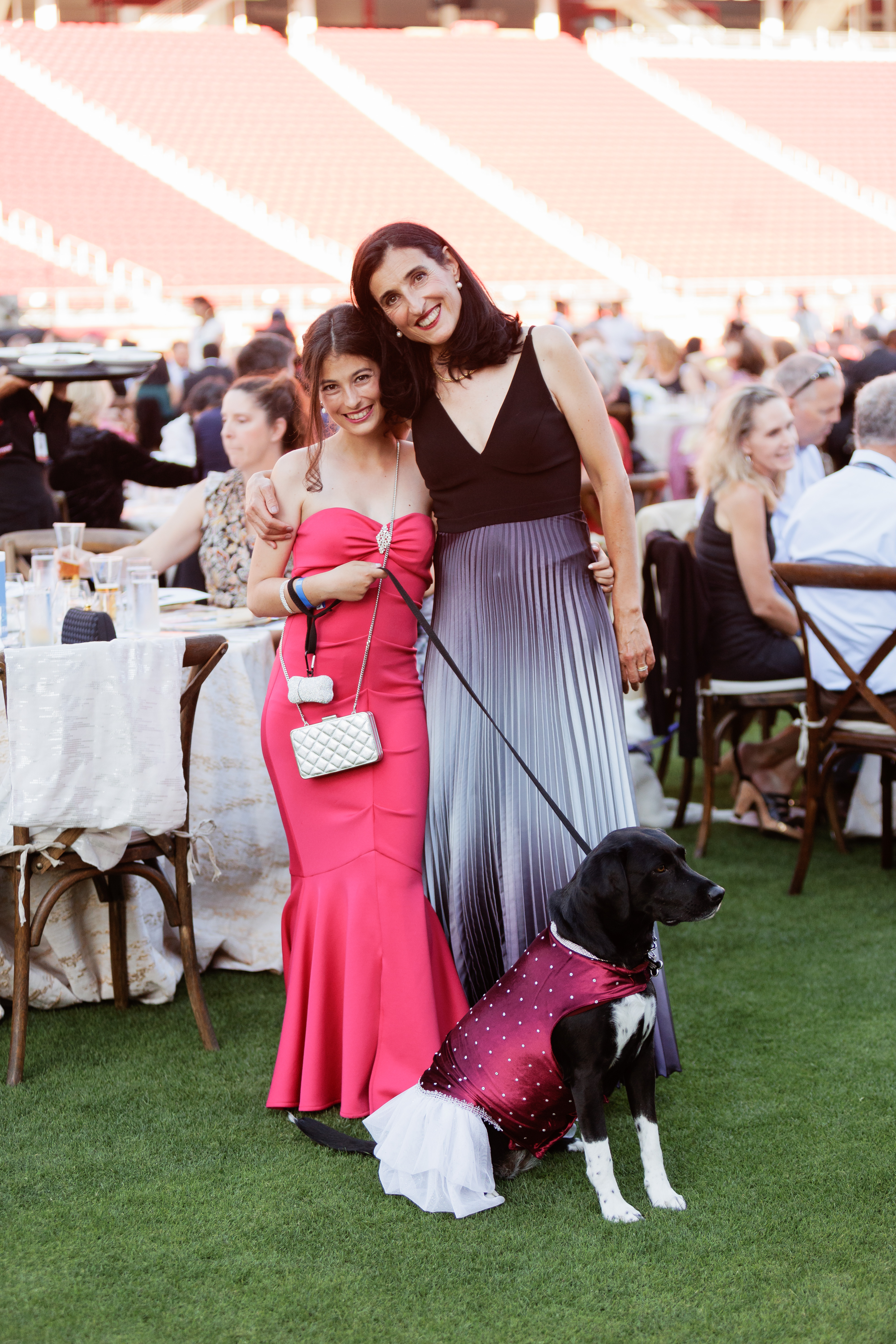 The Fur Ball 2022 - Humane Society Silicon Valley