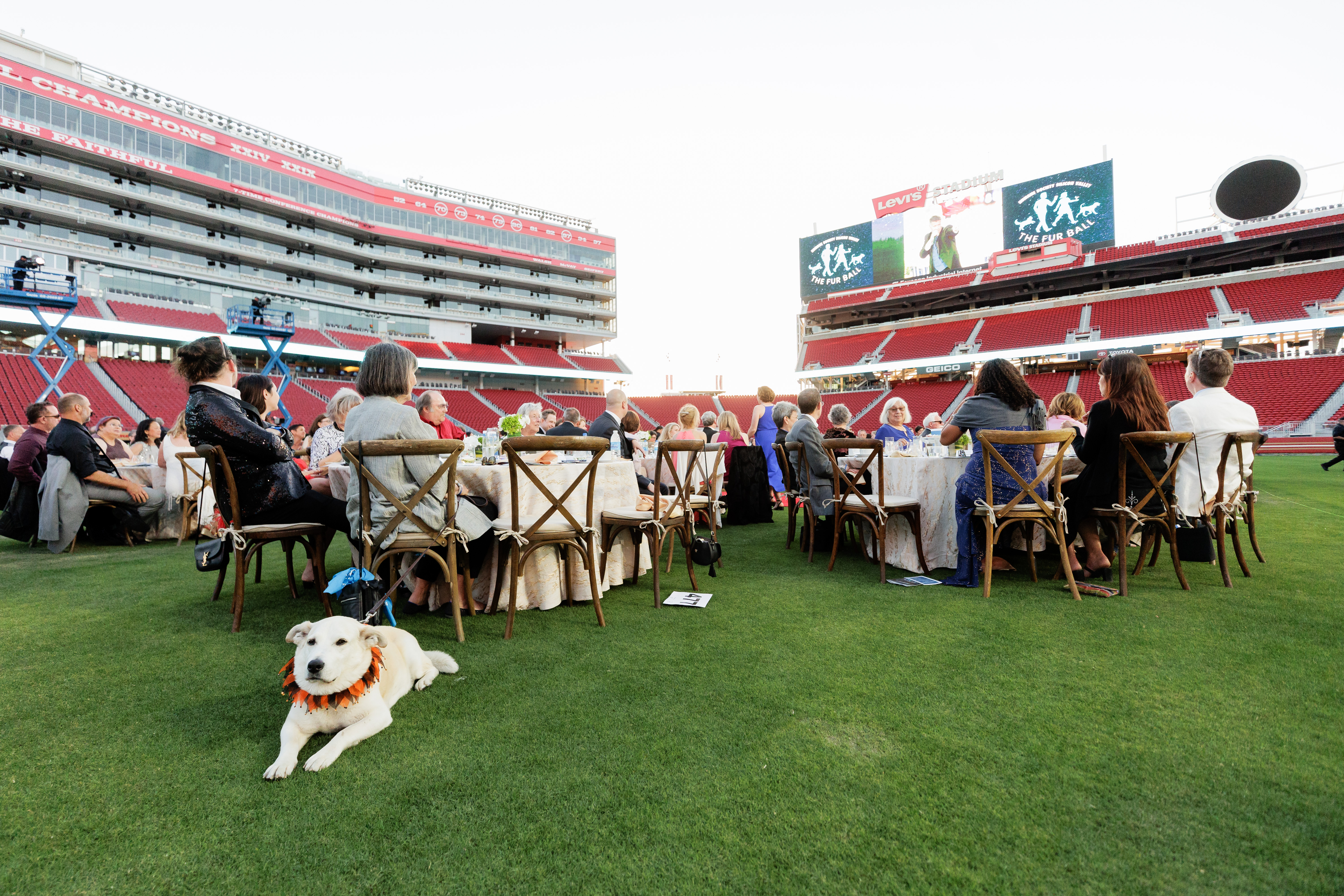 The Fur Ball 2022 - Humane Society Silicon Valley
