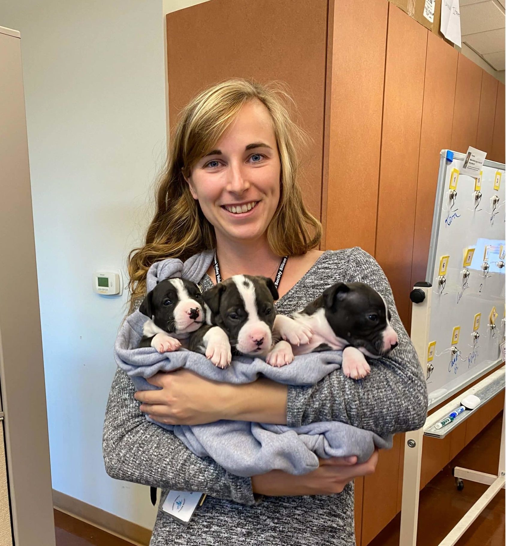 Become a Foster Associate - Humane Society Silicon Valley