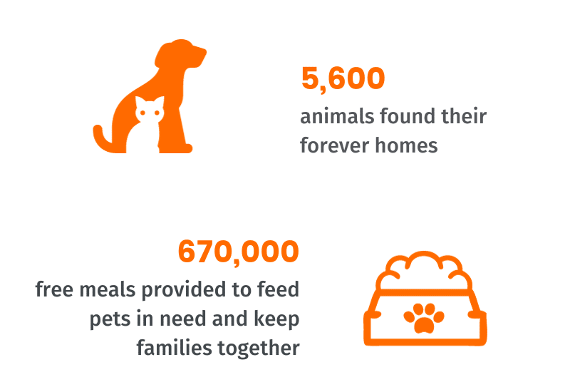 Give to Humane Society Silicon Valley - Donate & Save Lives!