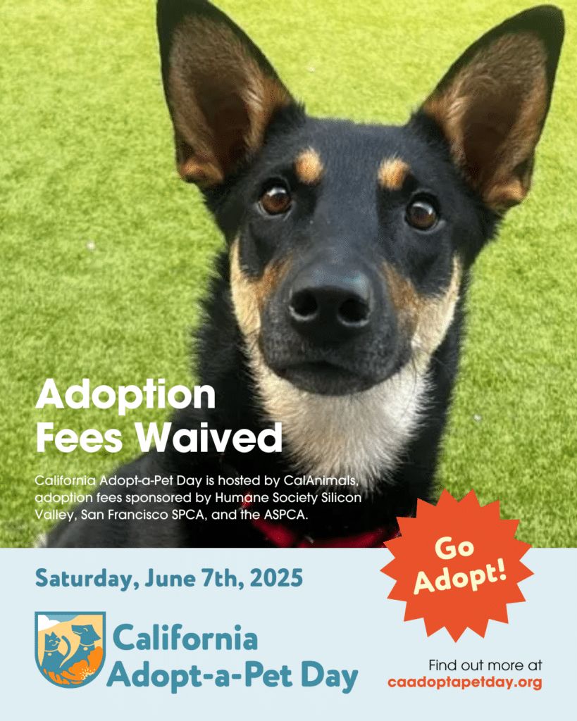 California Adopt-a-Pet Day - Humane Society Silicon Valley