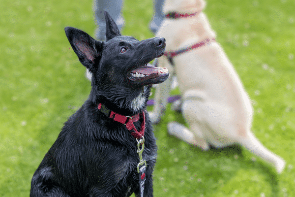 Control Unleashed (In-Person) - Starting 11/25/25 at 7:45 PM - Humane ...