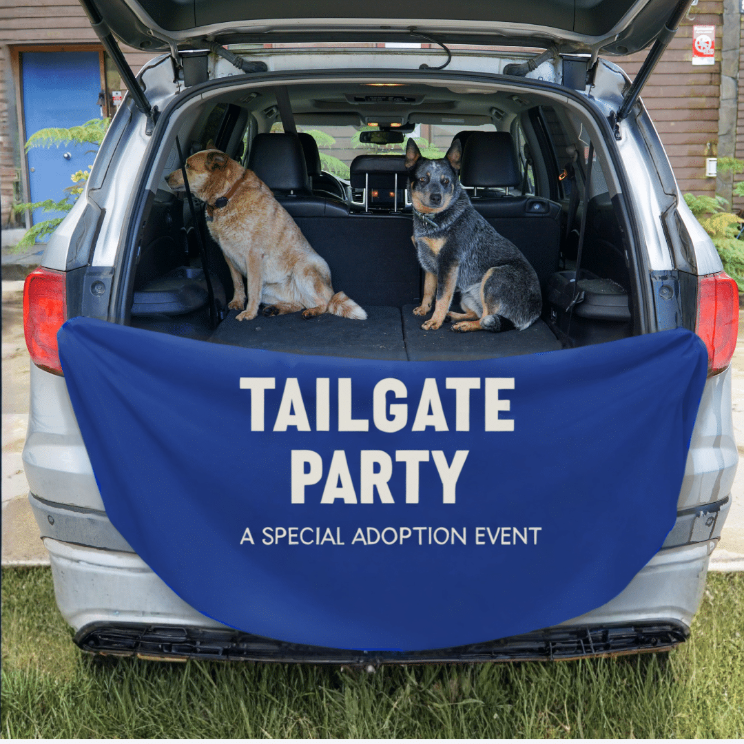 TAILGATE: Meet Your New Best Friend - Humane Society Silicon Valley