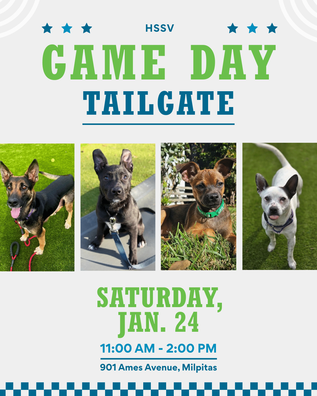 See you at the TAILGATE: Meet Your New Best Friend - Humane Society ...