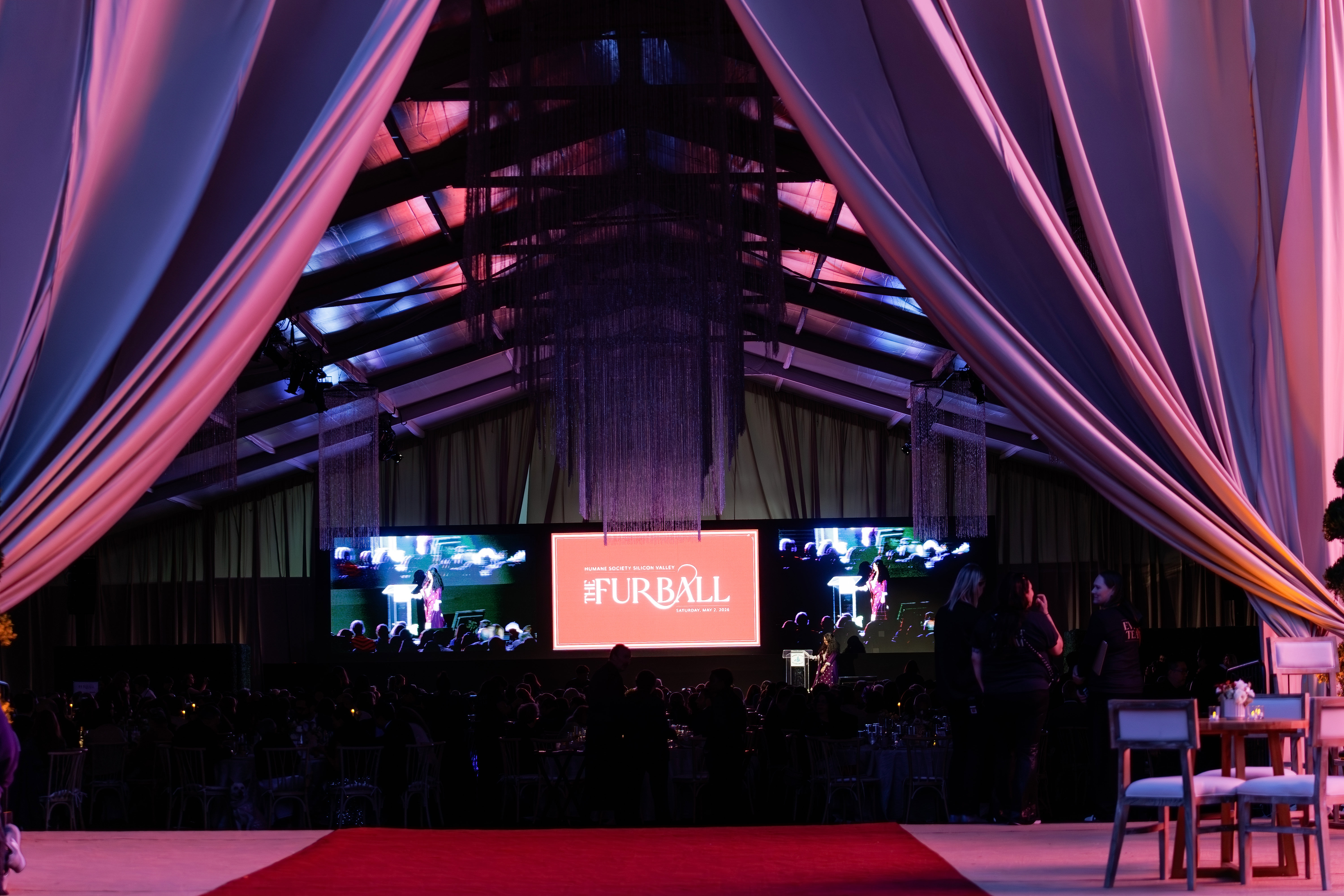 The Fur Ball - Humane Society Silicon Valley