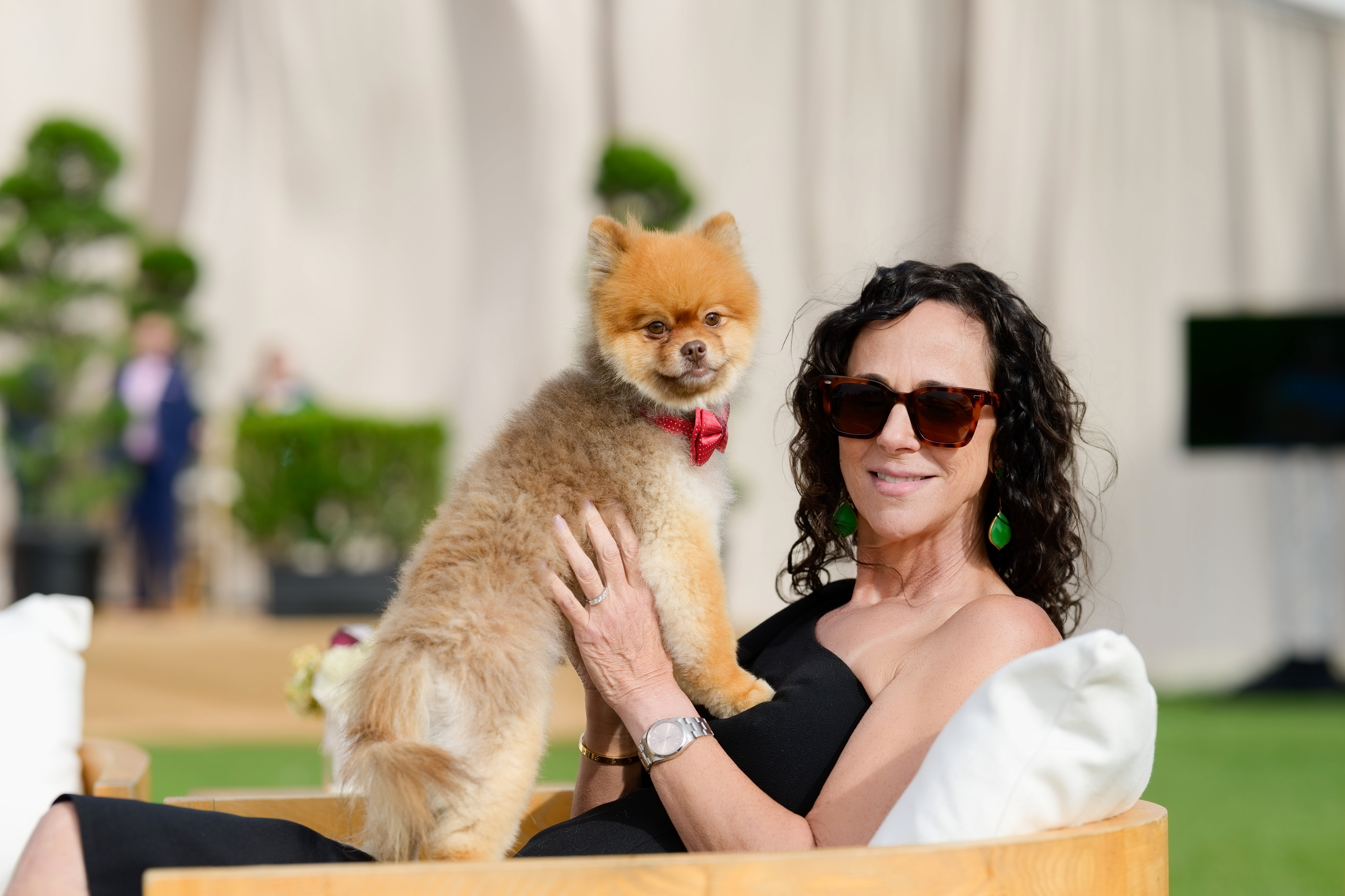 The Fur Ball - Humane Society Silicon Valley